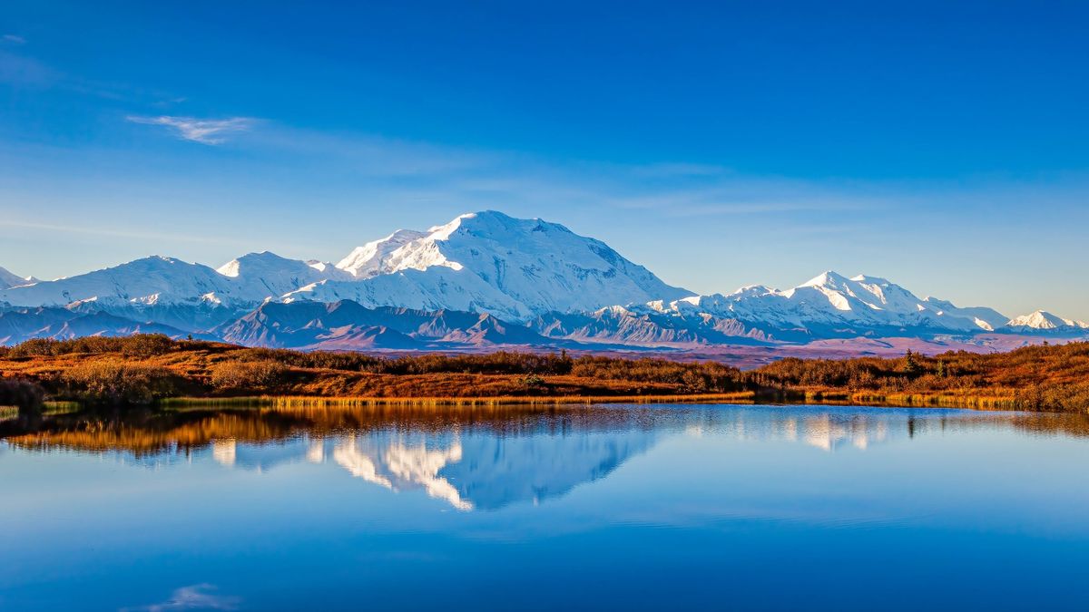 Unveiling the Majestic Wonders of Denali: A Guide to Alaska's Breathtaking National Park